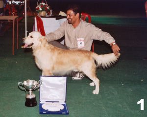 Golden Retriever Speciality Show - Golden Retriever Club - India
